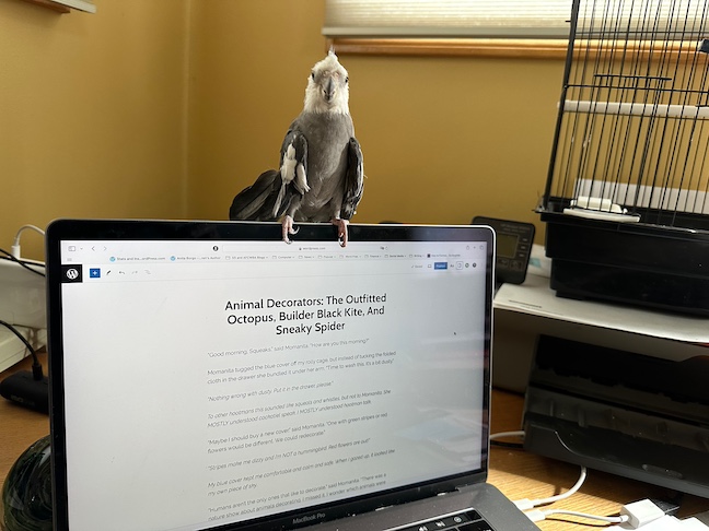 Animal Decorators: The Outfitted Octopus, Builder Black Kite, And ...